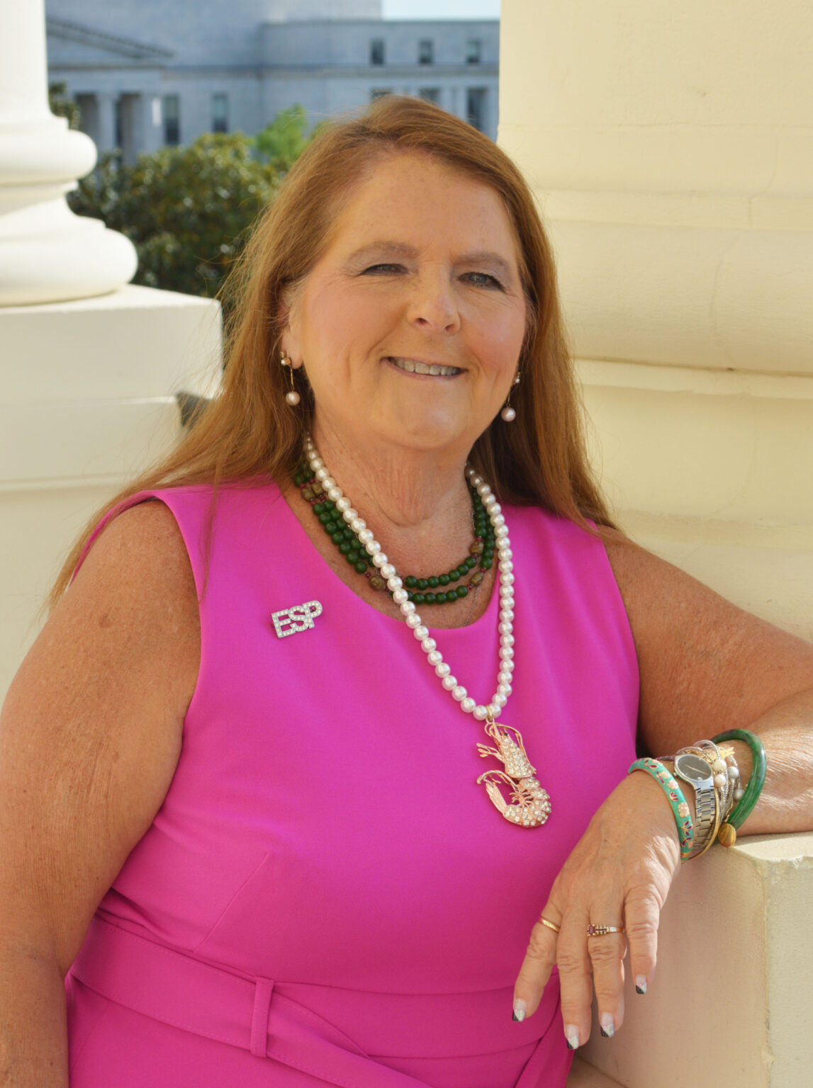 2025 DA Member Materials | Florida Education Association